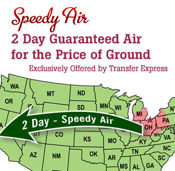 Speed Is In Our Name - Transfer Express Blog