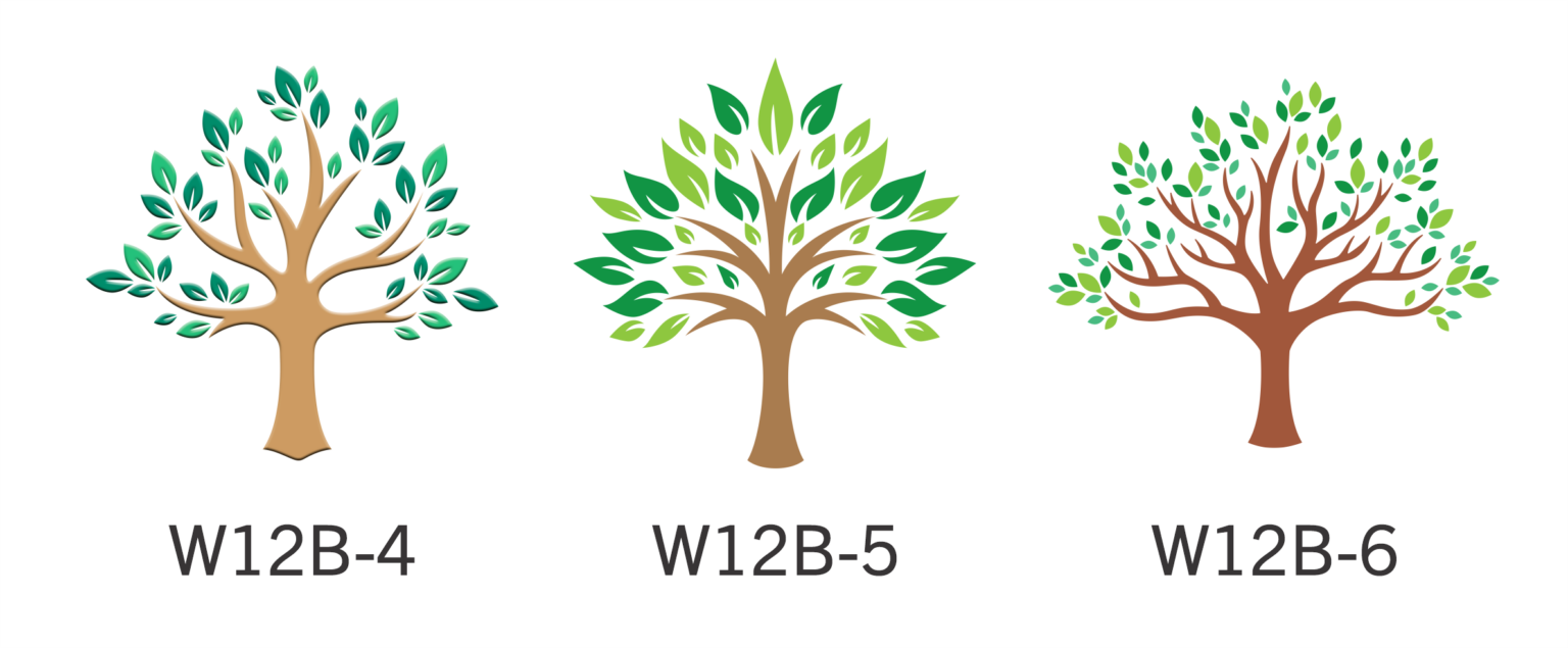 New Family Reunion Layout Designs Added to Easy View - Transfer Express ...