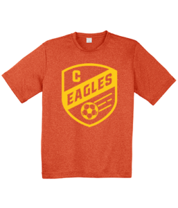 3 New Soccer Layout Designs for a Pro Look - Transfer Express Blog