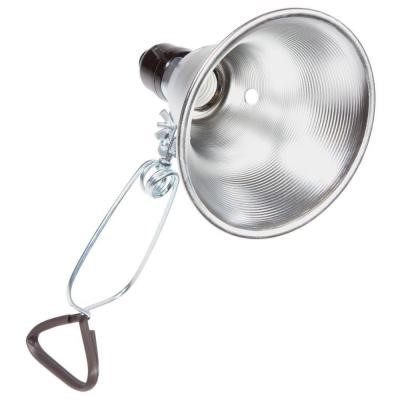 Quality Photography on a Tight Budget!