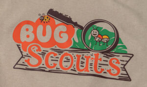 UltraColor Max or UltraColor Pro - Transfer Express Blog