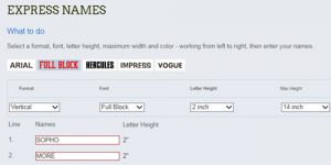 Vertical Screen Printed Names