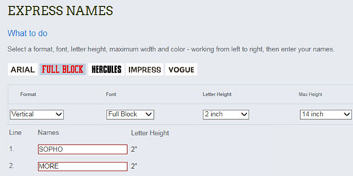 Vertical Screen Printed Names