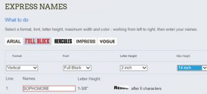 Vertical Screen Printed Names