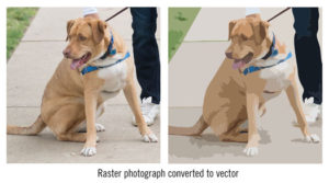 The Complete Guide to Image File Types - Transfer Express Blog